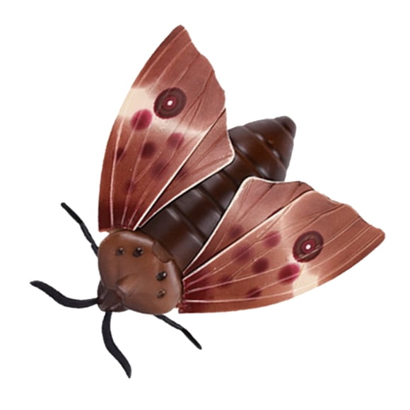 Plastic Toy Bugs