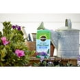 Miracle-Gro, Water Soluble Plant Food, Azalea, Camellia, Rhododendron ...