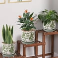 Ceramic-Planters-for-Indoor-Plants with Saucer, 6 inch Vintage Ice ...