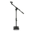 PylePro Adjustable Extendable Mic Stand, Black for Music Studio ...