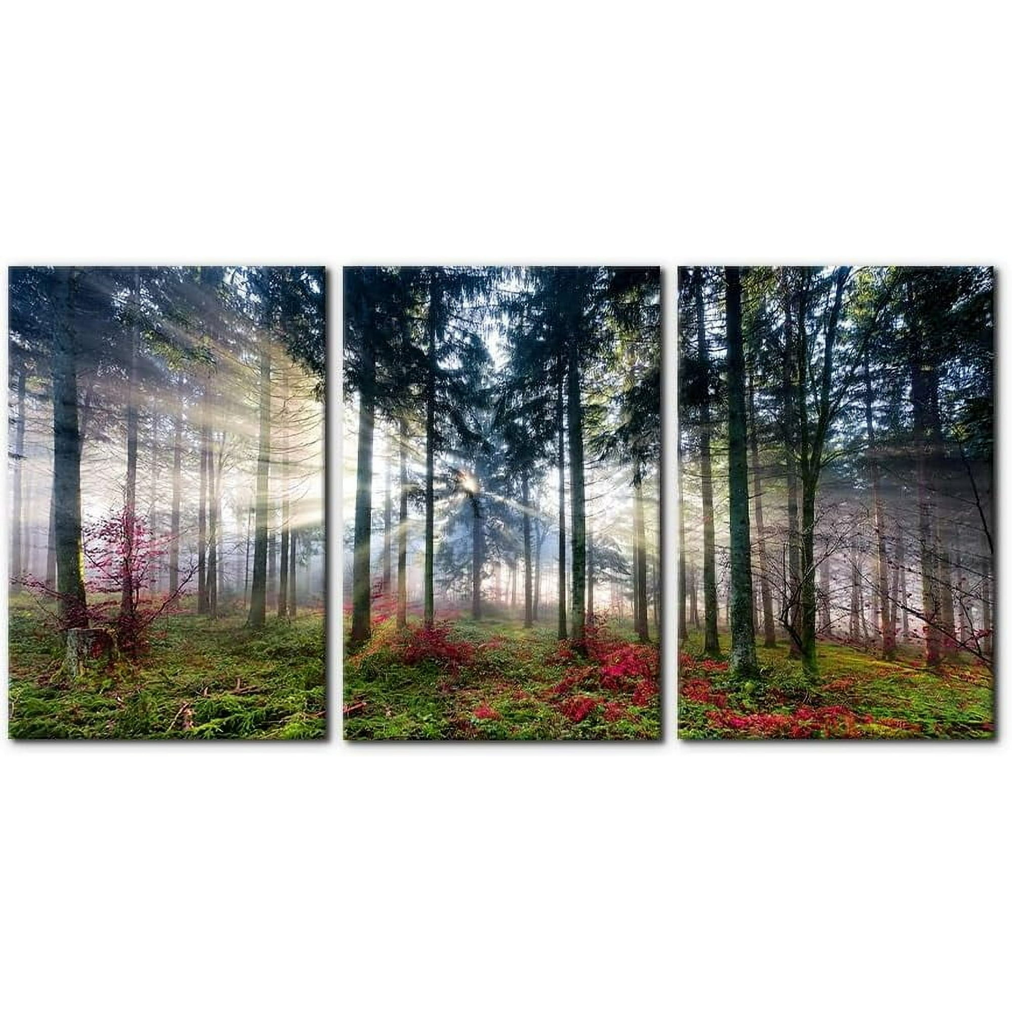 Click here for 51 Media 3 Pieces Canvas Wall Art Nature Landscape... prices