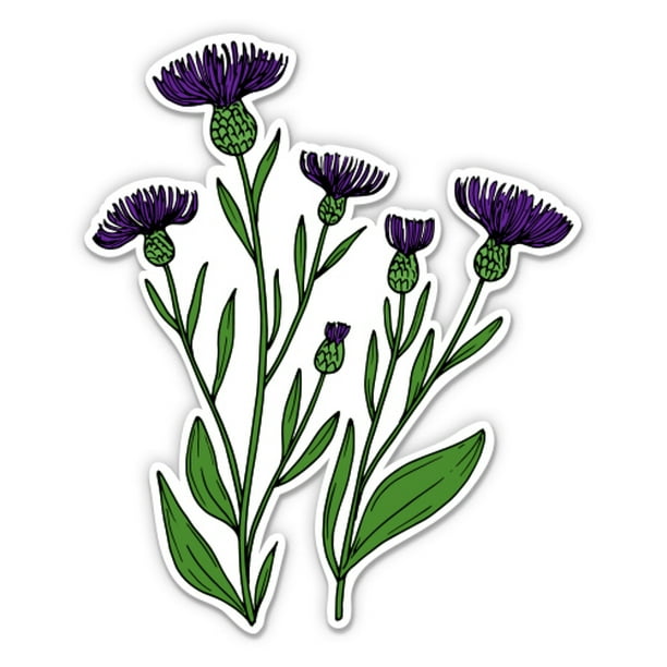 Thistle - 8" Vinyl Sticker - For Car Laptop I-Pad - Waterproof Decal ...