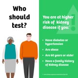 Clinistix Kidney Health Test Kit - Albumin, Creatinine Urine Test, 5 ...