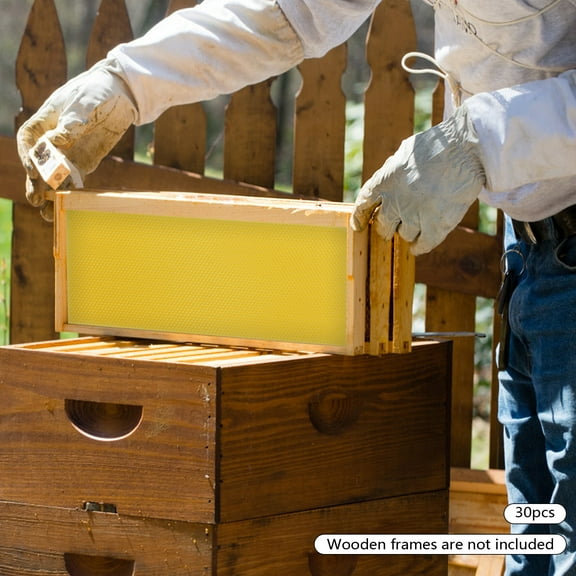 10-Pack Unassembled Beehive Frames with Natural Beeswax Foundations for ...
