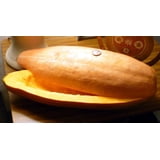 Squash Pink Banana Jumbo Garden Heirloom Vegetable 15 Seeds - Walmart.com