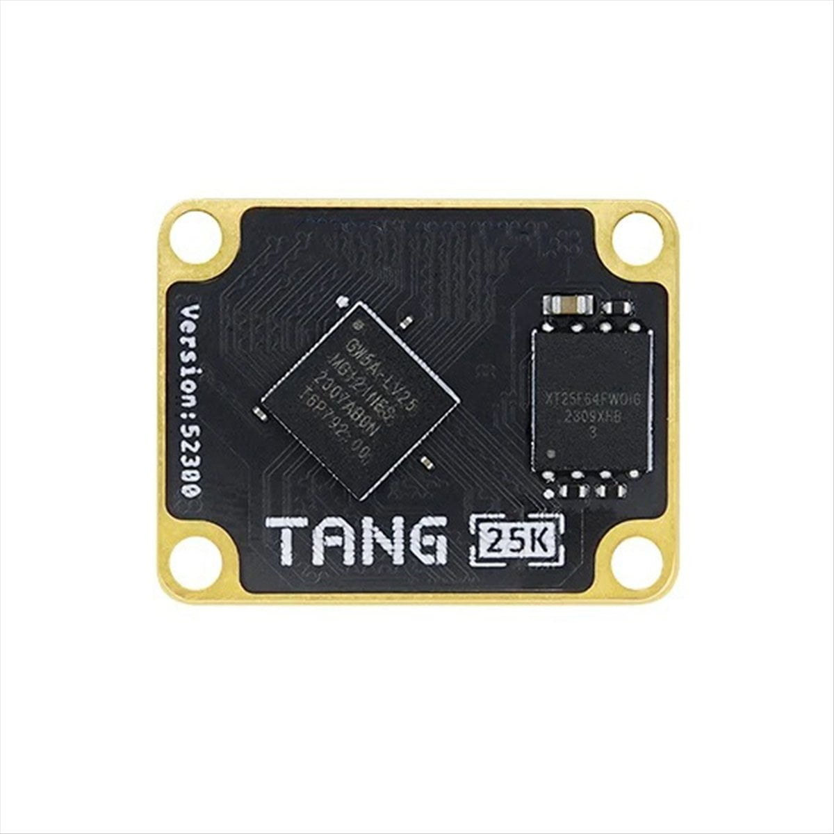 Placa de Desarrollo Tang Primer 25K FPGA GW5A Placa de Desarrollo RISCV ...