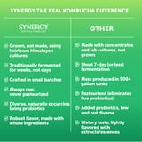 (2 pack) Synergy The Real Kombucha Trilogy, 16 fl oz - Walmart.com