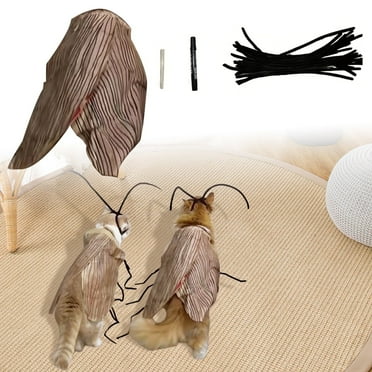 Cadorn 1 Pcs Cat Cockroach Costume DIY Kit - Funny Pet Outfit for ...