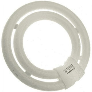 F40cw Light Bulb | Shelly Lighting