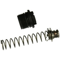 Pentair 77707-0010 Thermal Regulator Replacement Kit Pool and Spa ...