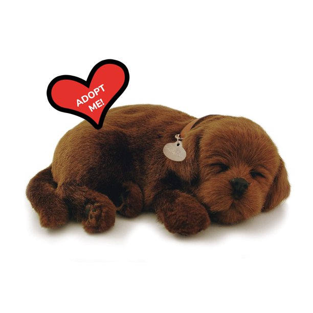 Perfect Petzzz - Original Petzzz Chocolate Lab, Realistic, Lifelike ...