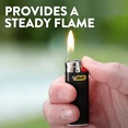 BIC Mini Pocket Lighters 4 Count Black Safe Windproof Flame, Compact ...