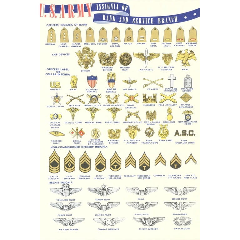 Us Army Rank Insignia Chart NationStates • View Topic Military