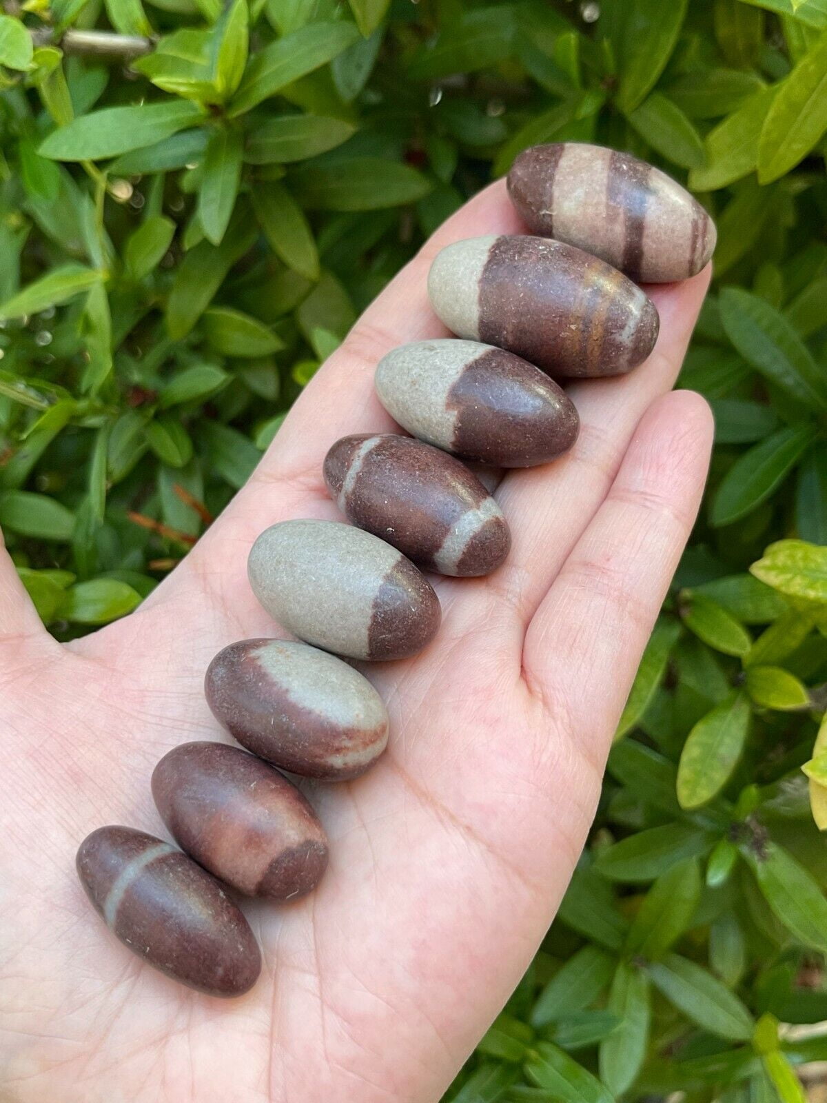 1" Shiva Lingam Stone, Small Shiva Lingam Sacred Stones - Walmart.com