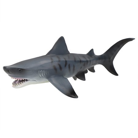 Educational Model, Simulation Sharks Model, Plastic Natural History ...