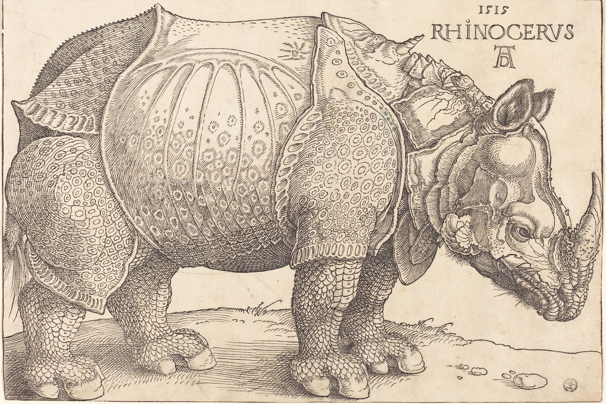 24x36 gallery poster, Rhinoceros, 1515 by Albrecht Durer - Walmart.com