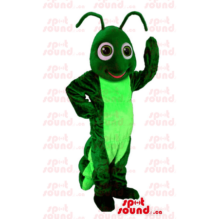 Customised Flashy Green Bug Plush SPOTSOUND Mascot With Large Eyes ...