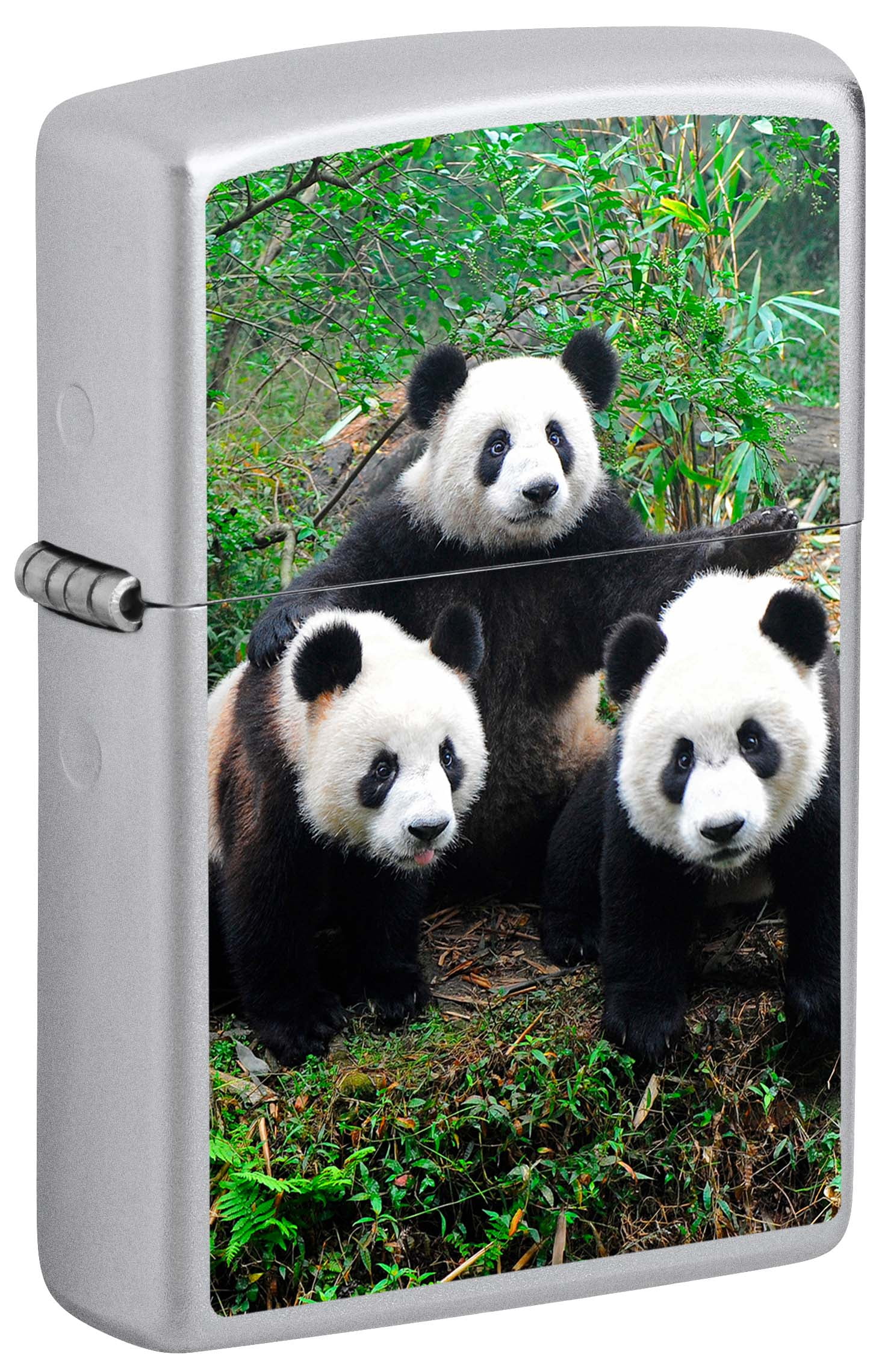 Zippo Lighter: Three Pandas Portrait in Jungle - Satin Chrome 81063 ...
