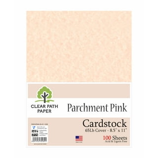 Better Office Paper Assorted Parchment Designs 100/Pack (64502 ...