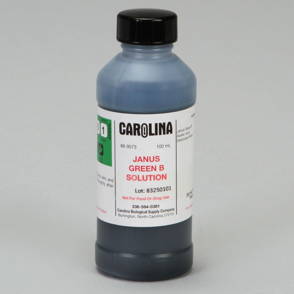 Janus Green B, 0.1% Aqueous, Laboratory Grade, 100 Ml - Walmart.com