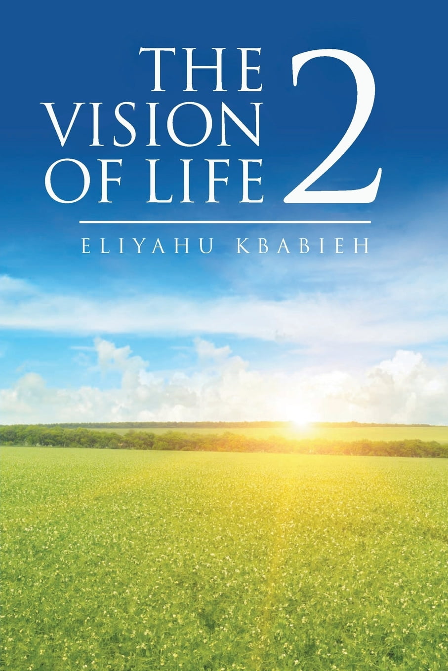 The Vision of Life 2 (Paperback) - Walmart.com