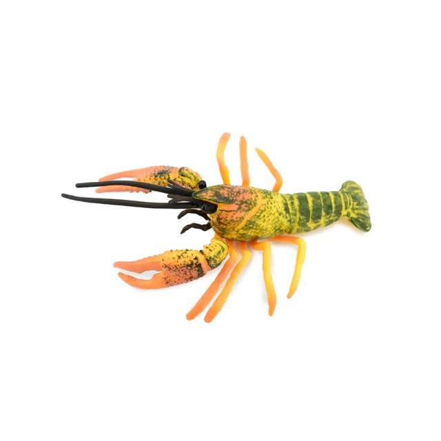 Crawfish, Crayfish, Museum Quality, Hand Painted, Rubber Crustaceans ...