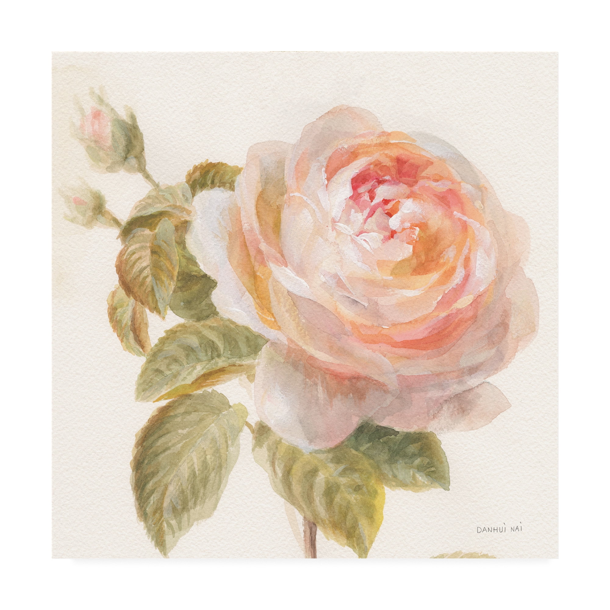 Trademark Fine Art 'Garden Rose Painting' Canvas Art by Danhui Nai ...