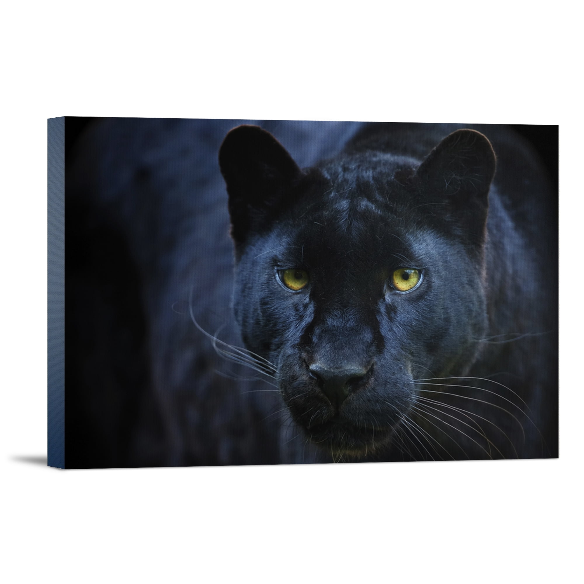 Black Panther, Canvas Art, Gallery Quality Decor, Hang Ready - Walmart.com