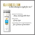 Pantene Pro-V Daily Cleanse Classic Clean Shampoo, 12.6 Oz - Walmart.com
