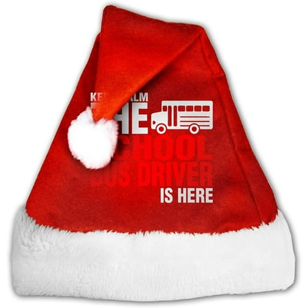 Cute Christmas Hats School Bus Driver is Here Santa Hats for Christmas ...