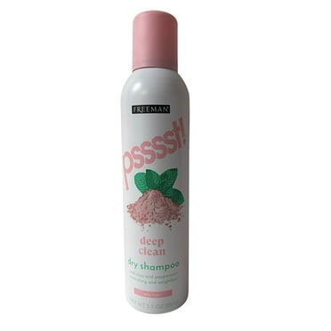 Garnier Fructis Pure Clean Dry Shampoo, Invisible Hair, 3.4 oz ...