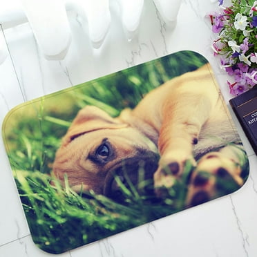 PHFZK Wildlife Doormat, Nature Series of Animal Leopard Doormat ...