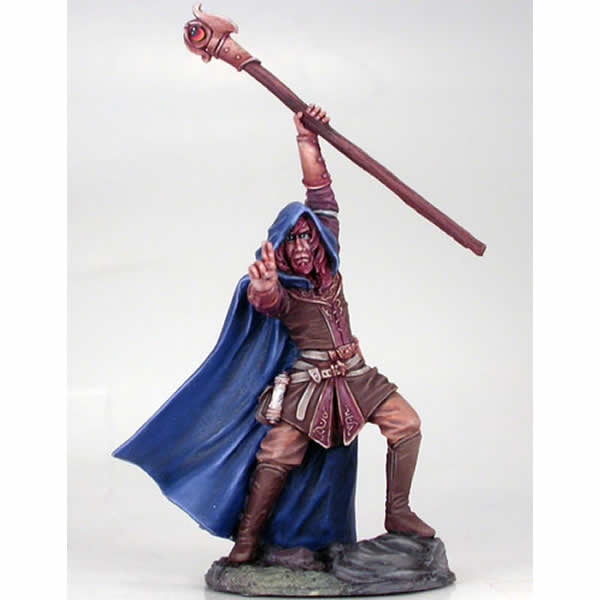 Male Mage with Staff Miniature Visions In Fantasy Dark Sword Miniatures ...