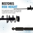 1PCS Rear Left Struts Complete Assembly Suspension Strut and Coil ...