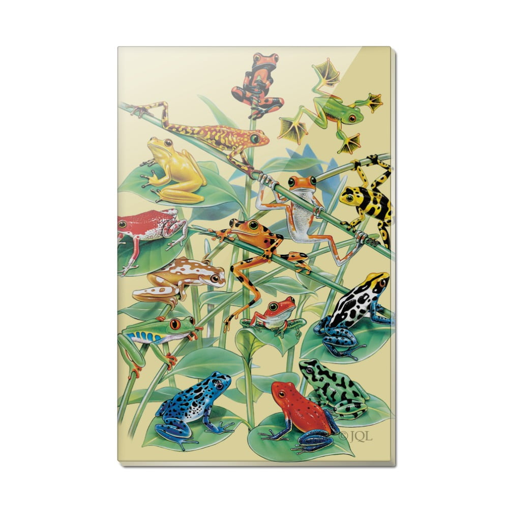 Tropical Rainforest Frogs Froggies Dart Rectangle Acrylic Fridge ...