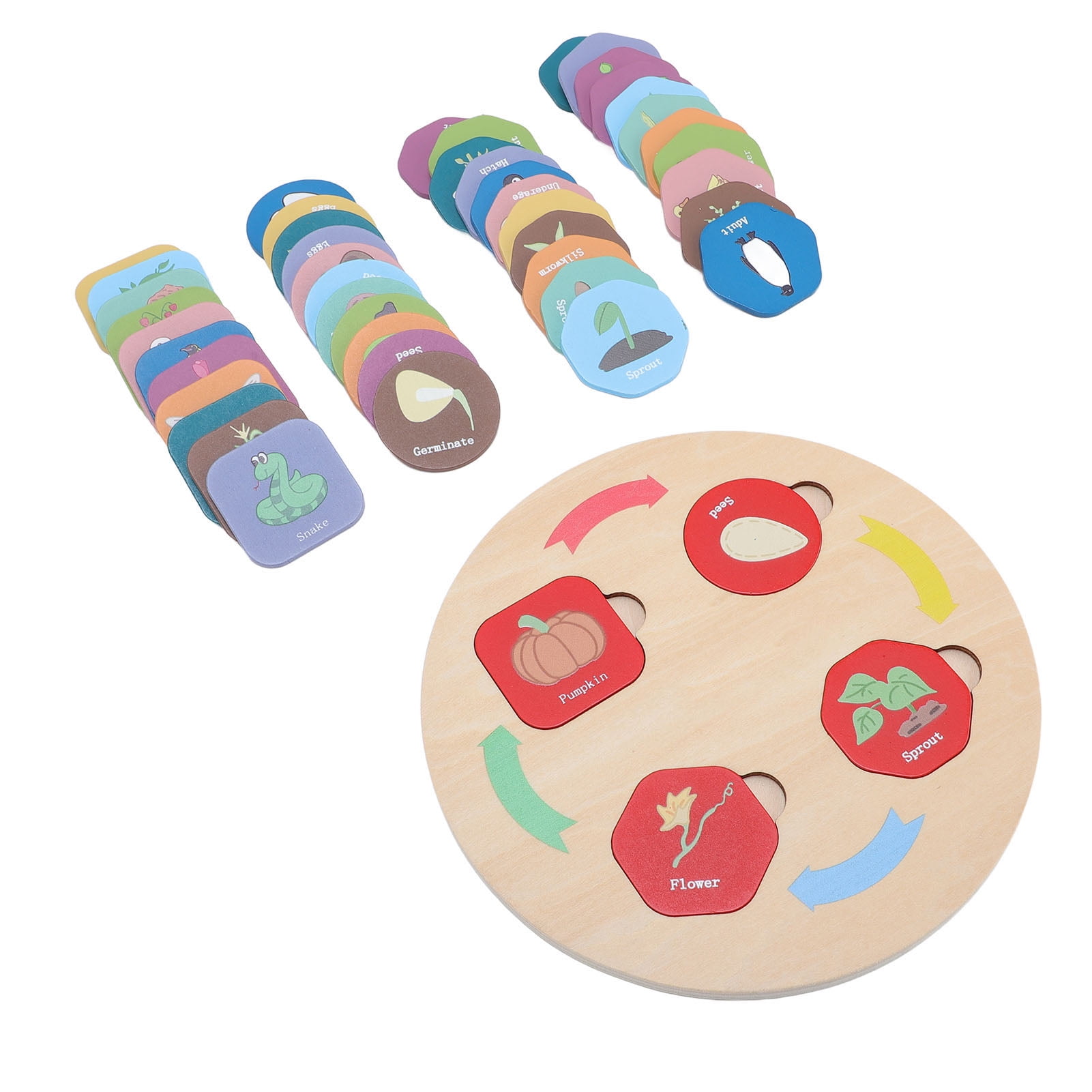 Click here for Loewten Life Cycle Toys For Kids  Animal Game Educ... prices