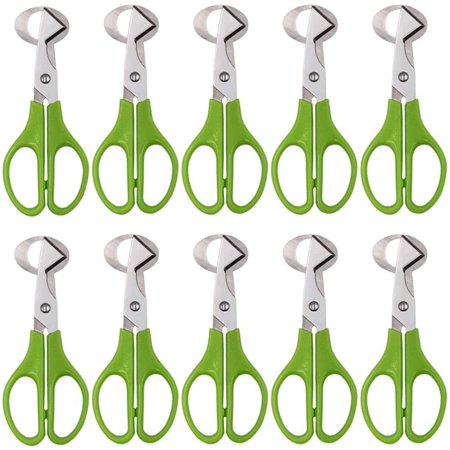 Yasor 10PCS Stainless Steel Quail Egg Cutter Scissors Pigeon Bird Quail ...