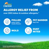 Claritin Kids Allergy Relief, 24hr Non-Drowsy, Bubblegum Flavored ...