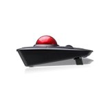 Adesso iMouse T50 - Wireless Programmable Ergonomic Trackball Mouse ...