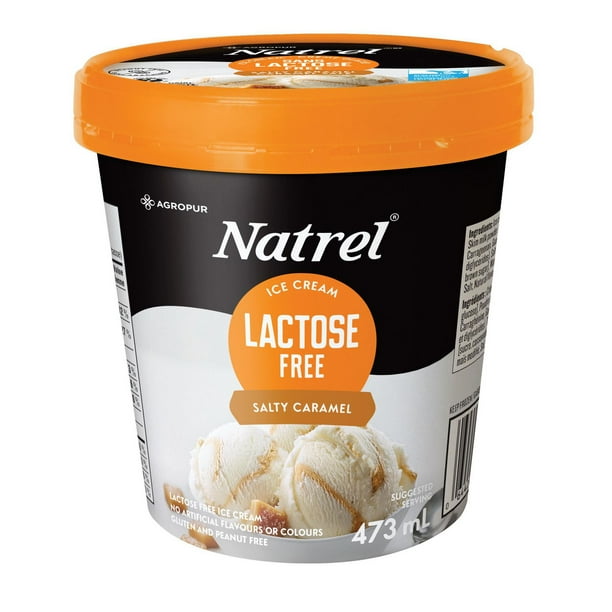 Natrel Salty Caramel Lactose Free Ice Cream, 473 mL - Walmart.ca