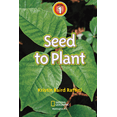 Seed to Plant (Paperback) - Walmart.com