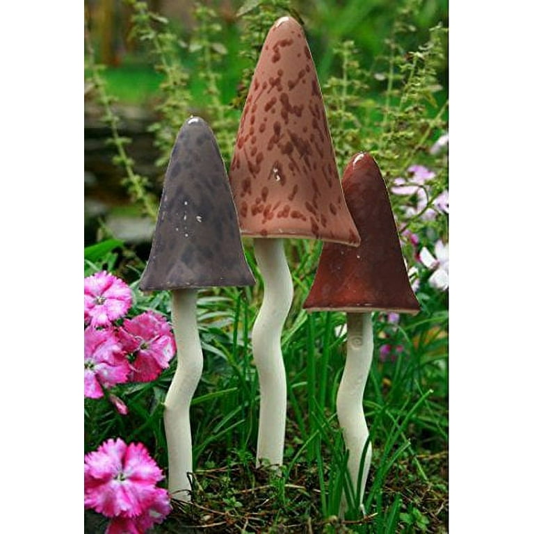 Garden Toadstools | Fasci Garden