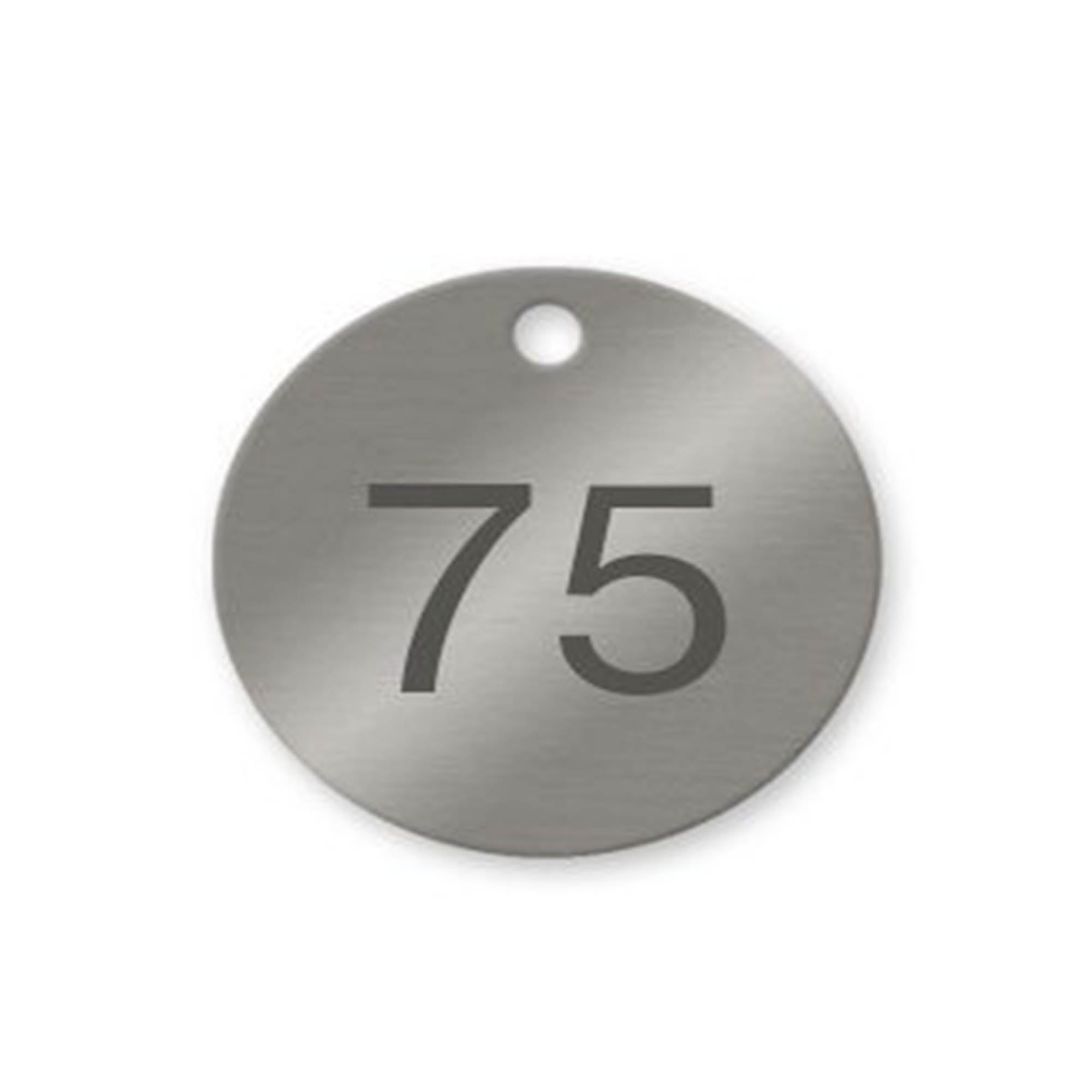 Numbered Stainless Steel Valve Tags (Numbered 51 - 75) - Walmart.com