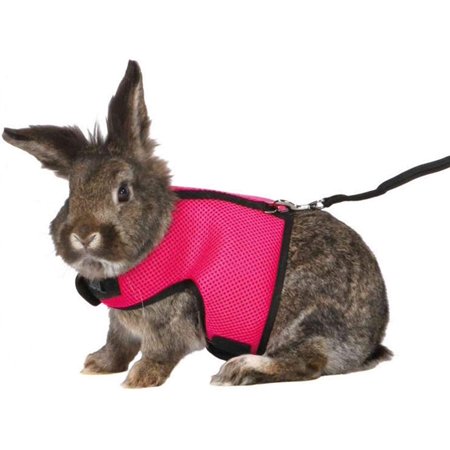 Rabbit Harness and Leash Set,Soft Harness with Lead for Walking Small ...
