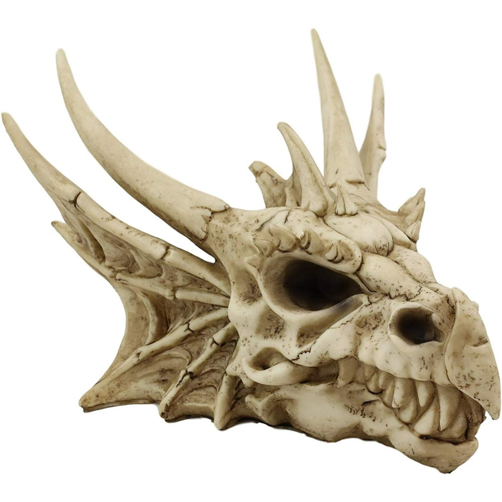 Ebros Elder Jurassic Dragon Head Skull Realistic Fossil Statue 9" Long ...