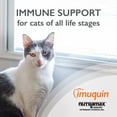 Imuquin Powder Immune Health for Cats 30ct - Walmart.com