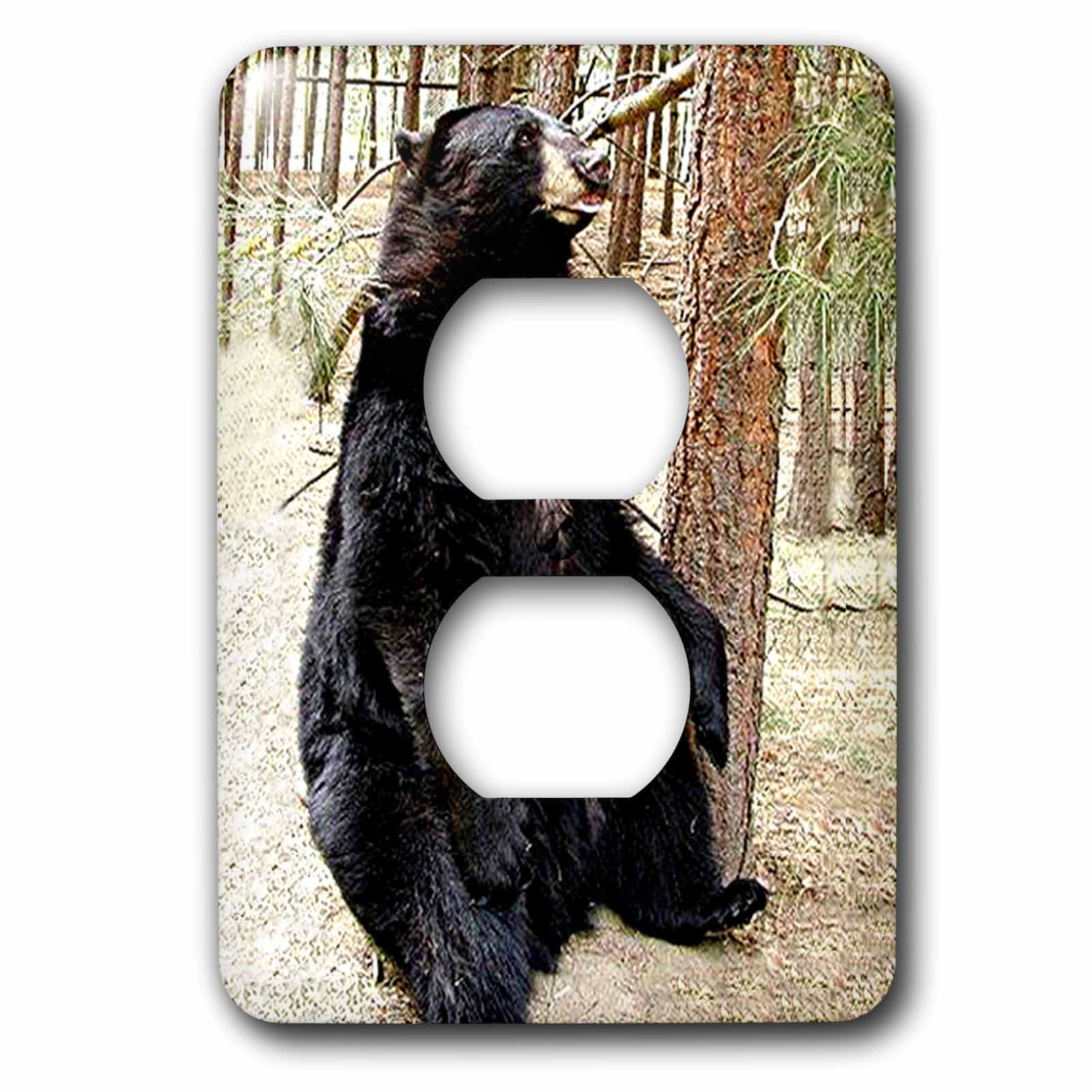 Black Bear 2 plug outlet cover lsp-787-6 - Walmart.com