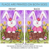 Toland Home Garden Long Eared Bunny Eggs Easter Flag Double Sided 12x18 ...
