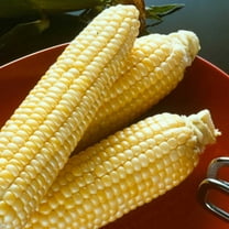 Serendipity Hybrid Triplesweet Corn Garden Seeds - 1 Lb - Non-GMO ...