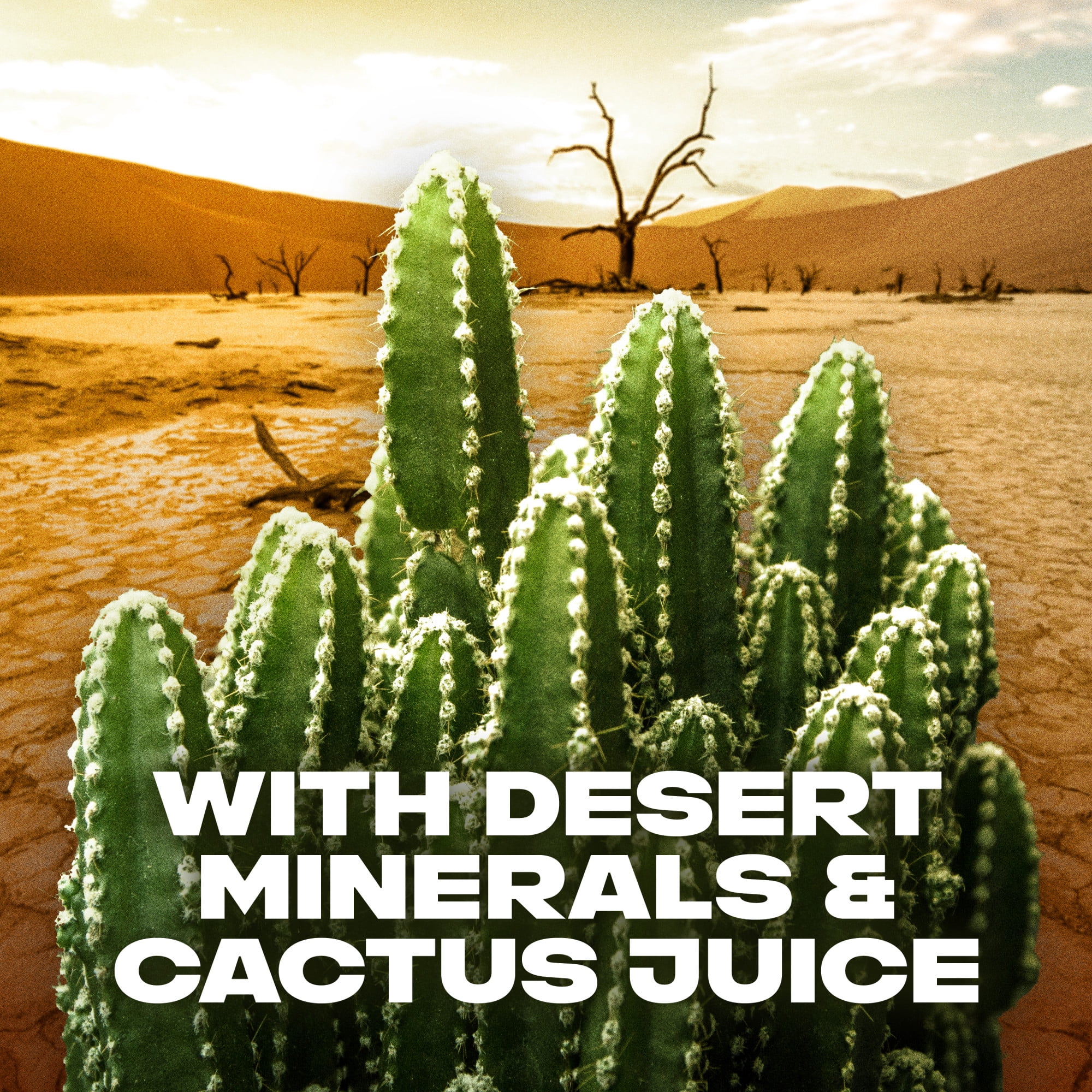 AXE Snake Peel Exfoliating Body Wash for Men, 16 oz